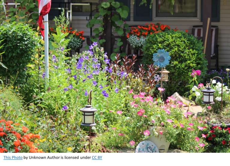 Wisconsin Wholesale Plant Nursery | Wholesale Garden Plants Milwaukee